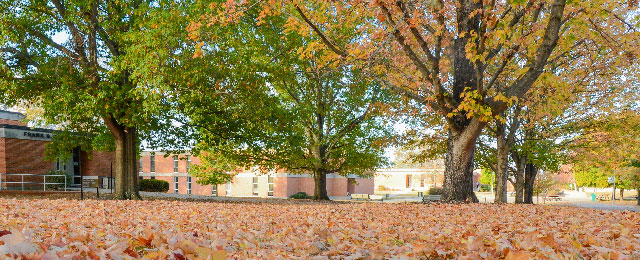 Home [columbiastate.edu]